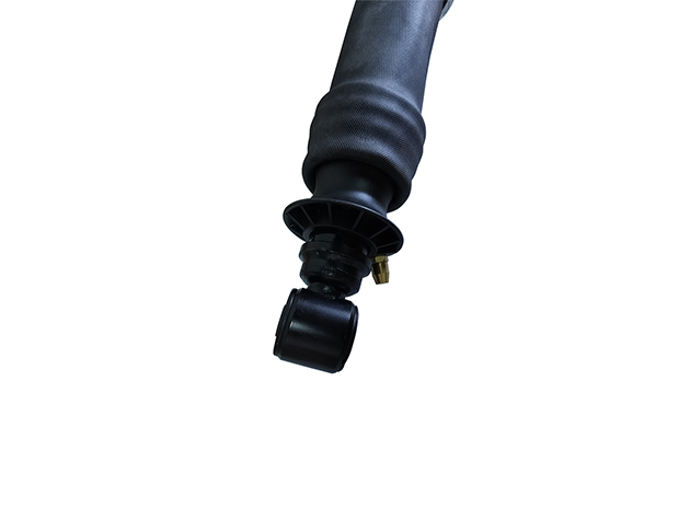 2493170 1870893 Cabin shock absorber